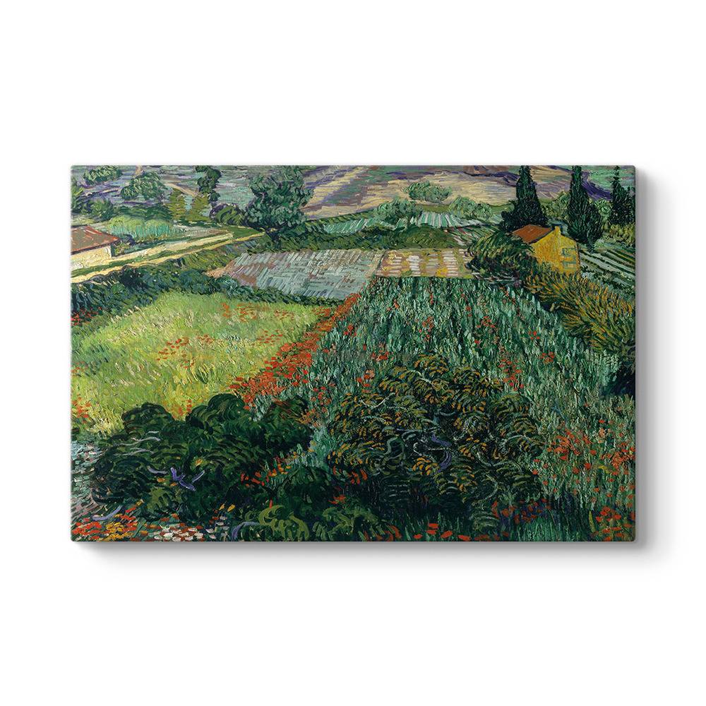Vincent Van Gogh - Gelincik Tarlası Tablosu - TabloShop